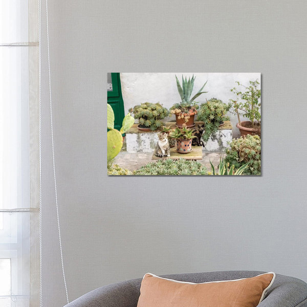 Brayden Studio Plants Adorn The Outside Walls Of The Sassi Houses by Julie Eggers - Wrapped ...